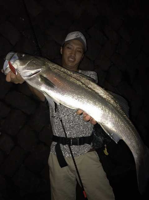 戸塚原宿店の釣り情報｜つり具の上州屋 - あなたのフィッシング＆アウトドアライフをサポート