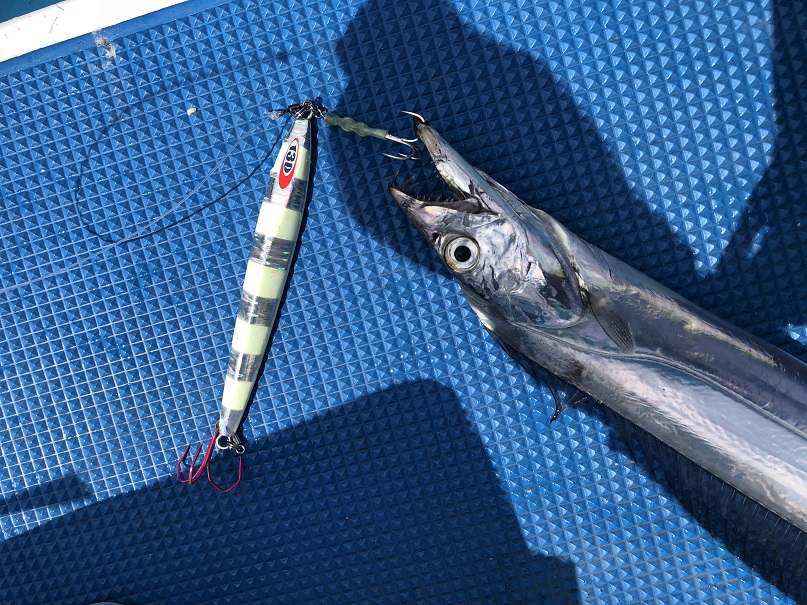 新宿店の釣り情報｜つり具の上州屋 - あなたのフィッシング＆アウトドアライフをサポート