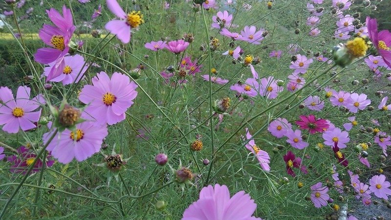 盛岡上堂店の釣り情報｜つり具の上州屋 - あなたのフィッシング＆アウトドアライフをサポート