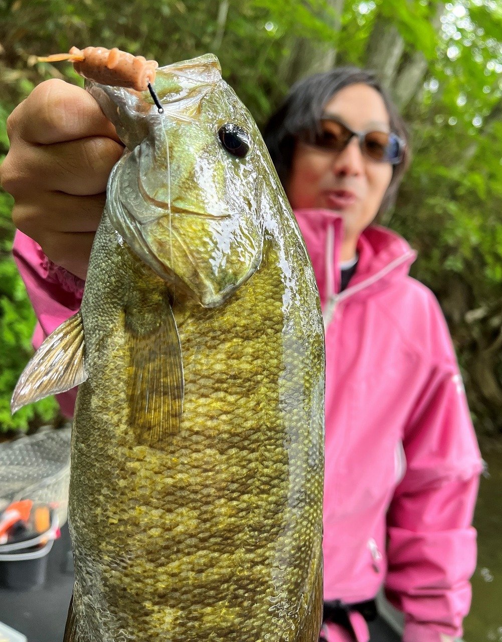 キャンベル宇都宮店の釣り情報｜つり具の上州屋 - あなたのフィッシング＆アウトドアライフをサポート