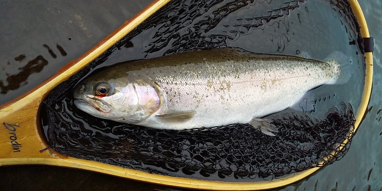 新西那須野店の釣り情報｜つり具の上州屋 - あなたのフィッシング＆アウトドアライフをサポート