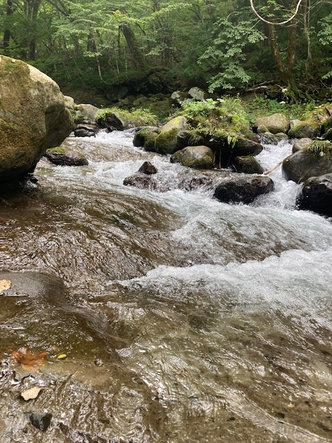 郡山店のショップニュース｜つり具の上州屋 - あなたのフィッシング＆アウトドアライフをサポート