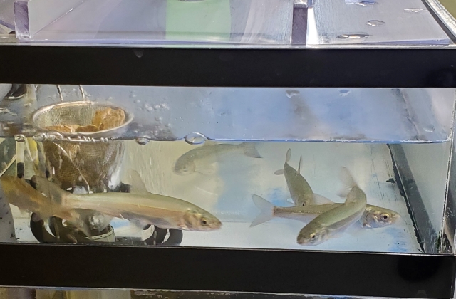 上越店のショップニュース｜つり具の上州屋 - あなたのフィッシング＆アウトドアライフをサポート