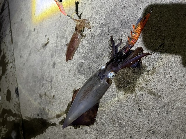 北上店のショップニュース｜つり具の上州屋 - あなたのフィッシング＆アウトドアライフをサポート