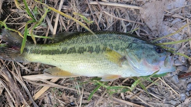 土浦店のショップニュース｜つり具の上州屋 - あなたのフィッシング＆アウトドアライフをサポート