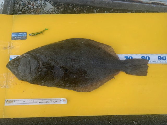 日立店のショップニュース｜つり具の上州屋 - あなたのフィッシング＆アウトドアライフをサポート