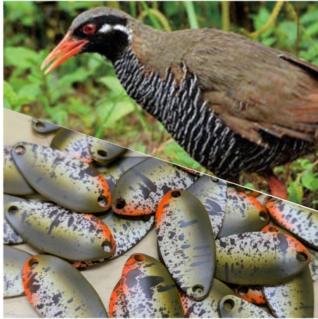 新西那須野店のショップニュース｜つり具の上州屋 - あなたのフィッシング＆アウトドアライフをサポート