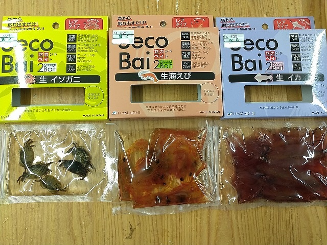 川崎東口店のショップニュース｜つり具の上州屋 - あなたのフィッシング＆アウトドアライフをサポート