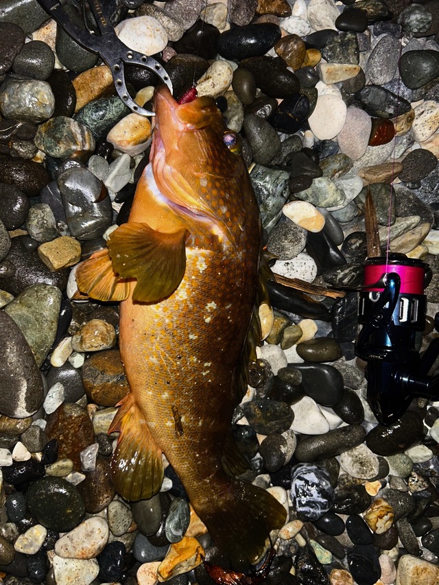 上越店のショップニュース｜つり具の上州屋 - あなたのフィッシング＆アウトドアライフをサポート