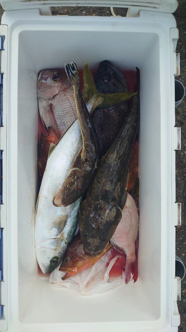 上越店のショップニュース｜つり具の上州屋 - あなたのフィッシング＆アウトドアライフをサポート