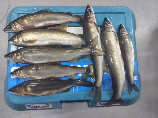 いわき泉店のショップニュース｜つり具の上州屋 - あなたのフィッシング＆アウトドアライフをサポート